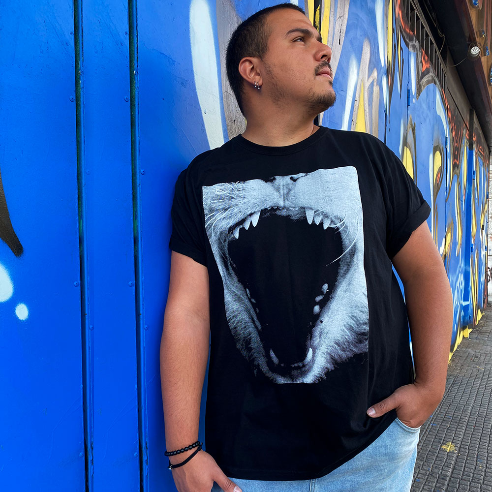 Gato Lentes - ColorPoint