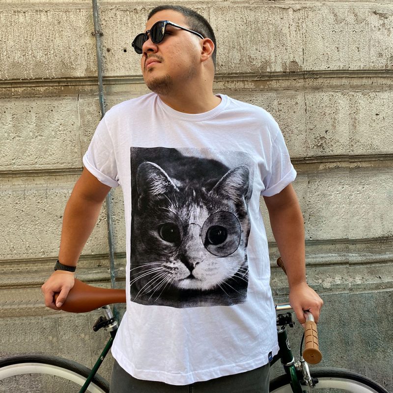 Gato Lentes - ColorPoint