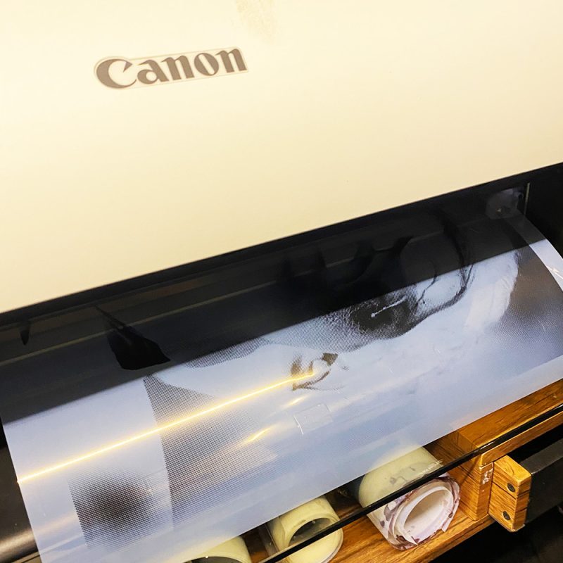 Nosotros - ColorPoint